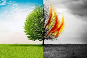 Transmutation Agreements Explained [& Why You Need One]